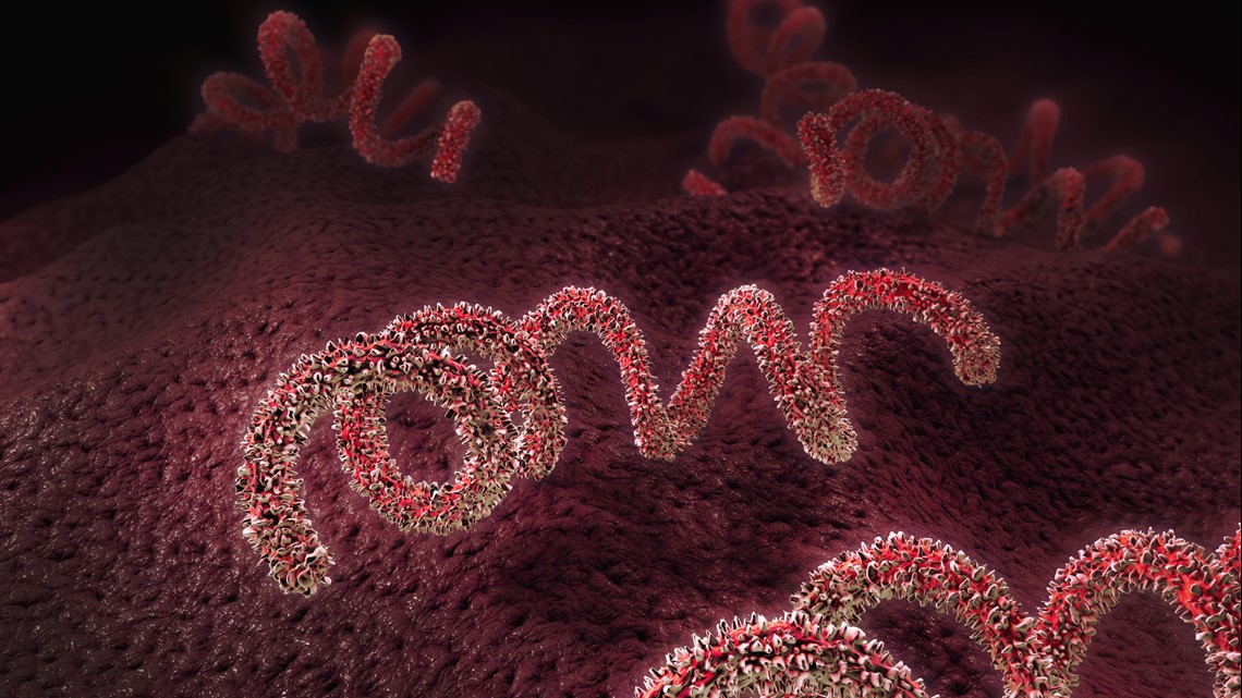 Congenital syphilis cases rise in Minnesota | kare11.com