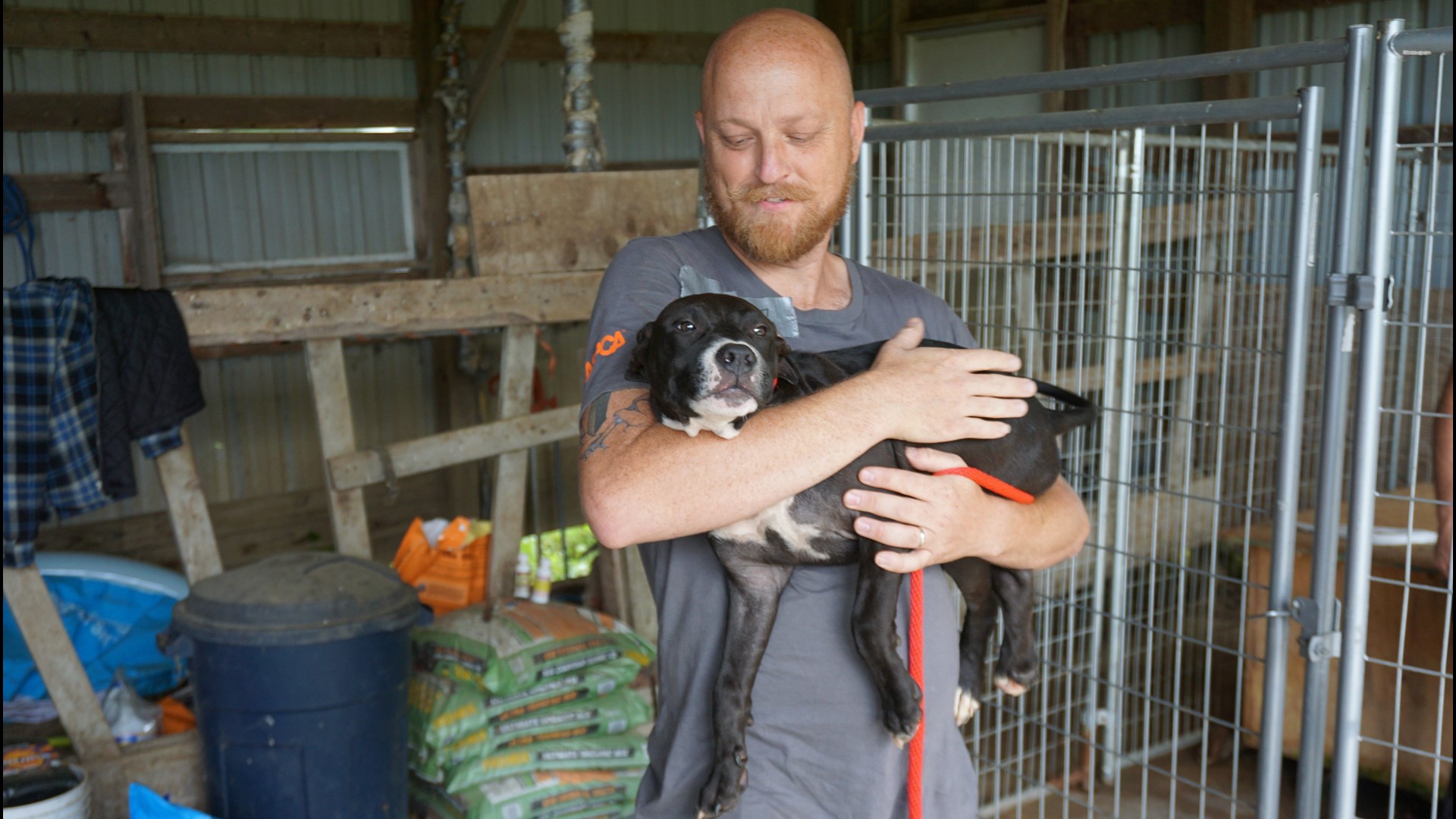 Nearly 1,700 animals, meth seized in western Wis. raid | kare11.com