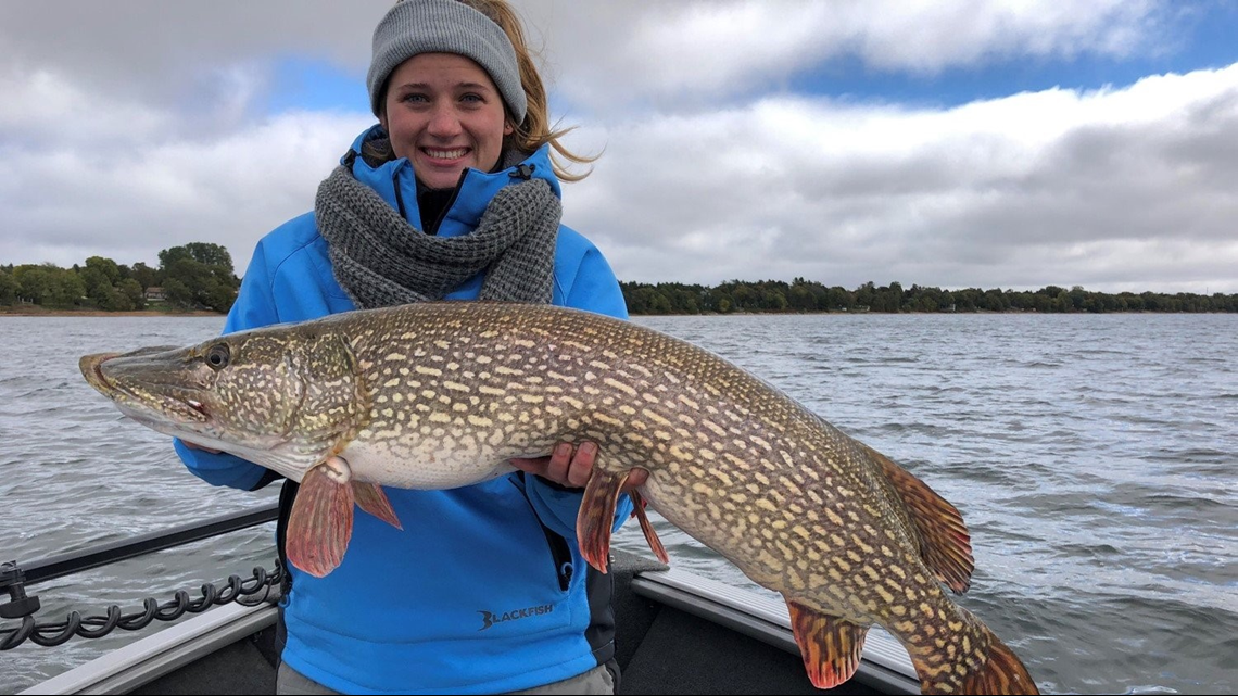 Angler sets first catch-and-release record for northern pike | kare11.com