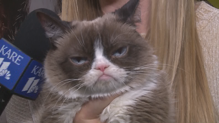 Ermahgerd Grumpy Cat