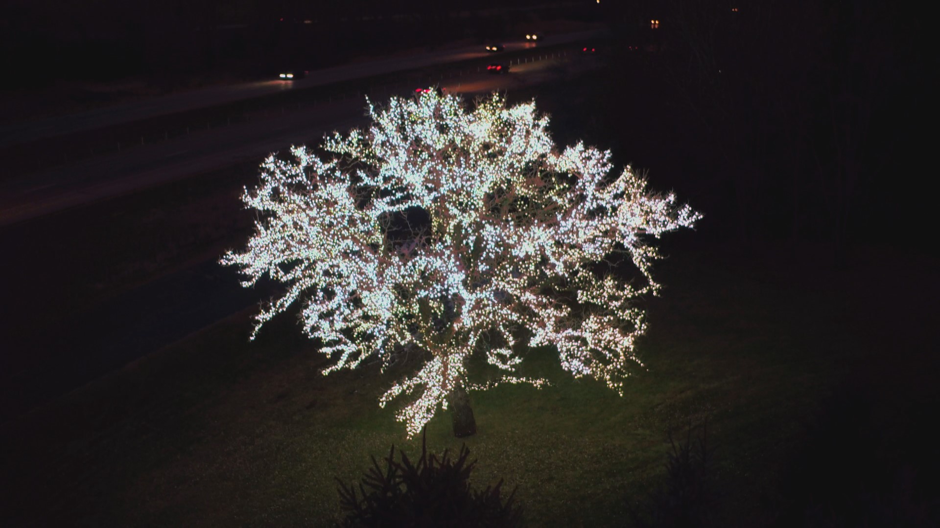 Stunning tree of lights is gift to I-35 holiday travelers | kare11.com