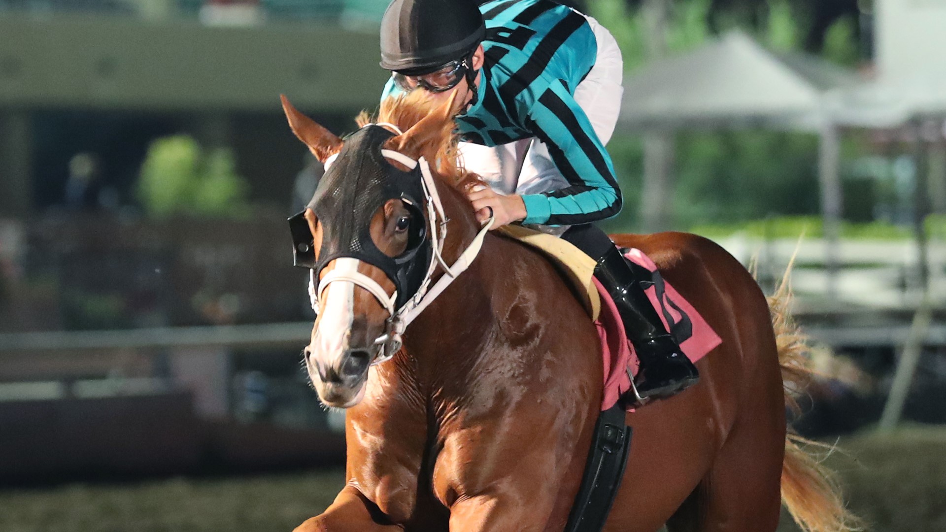 From Canterbury Park to the Kentucky Derby | kare11.com