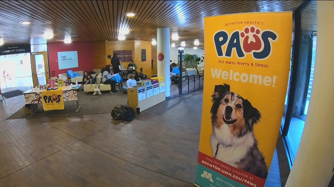PAWS celebrates 10 years connecting service animals with students ...