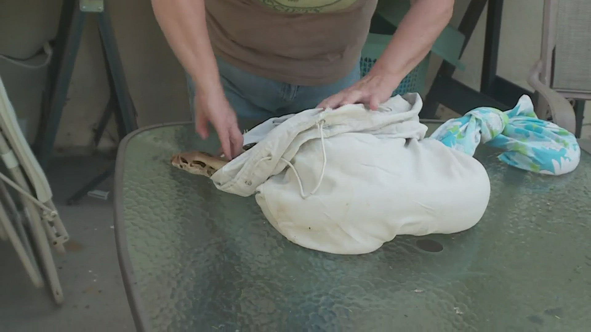 10-foot snake caught in Glencoe | kare11.com