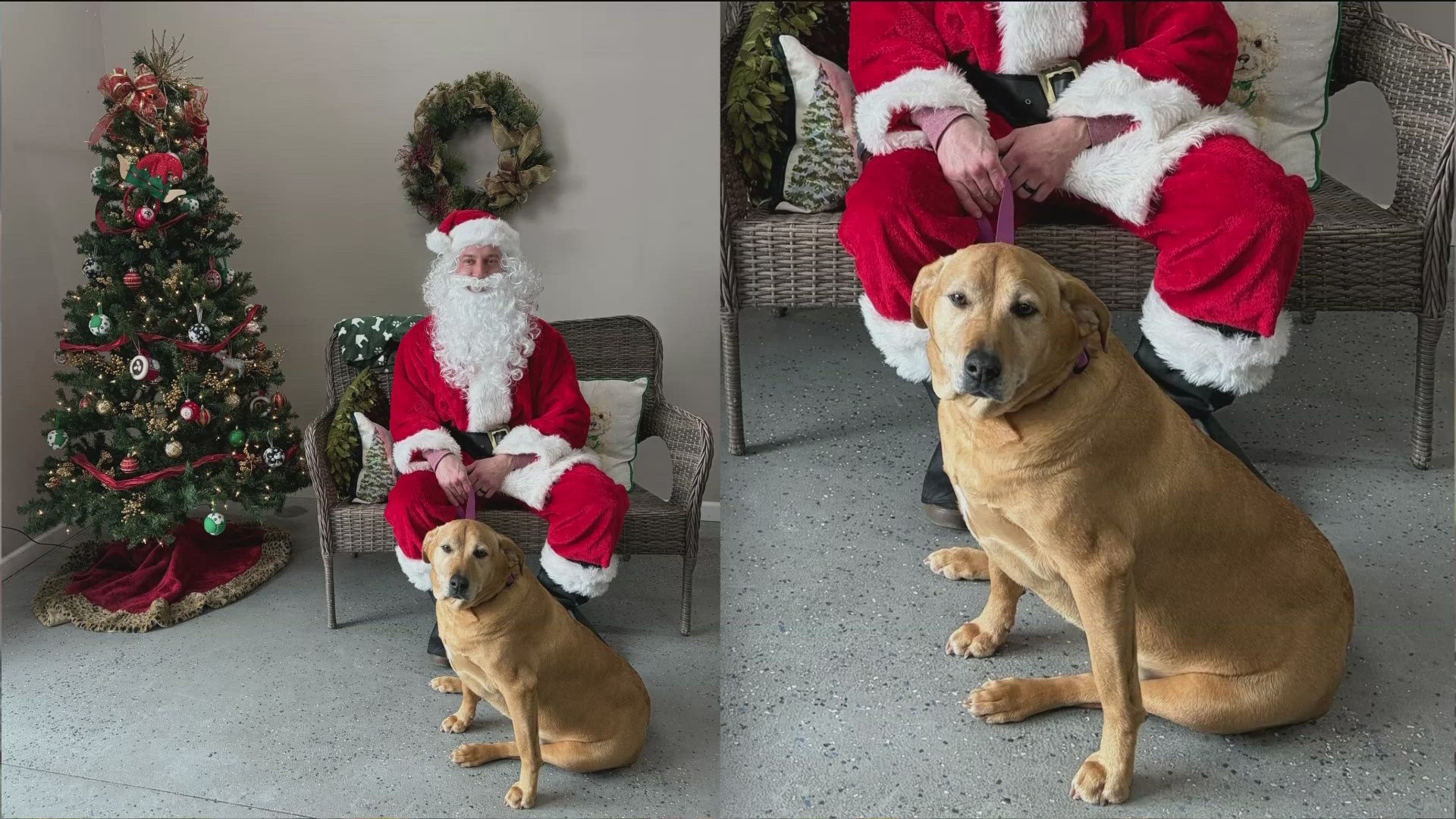 Cloudy future for bourbon has Jim Beam closing Kentucky distillery for ...