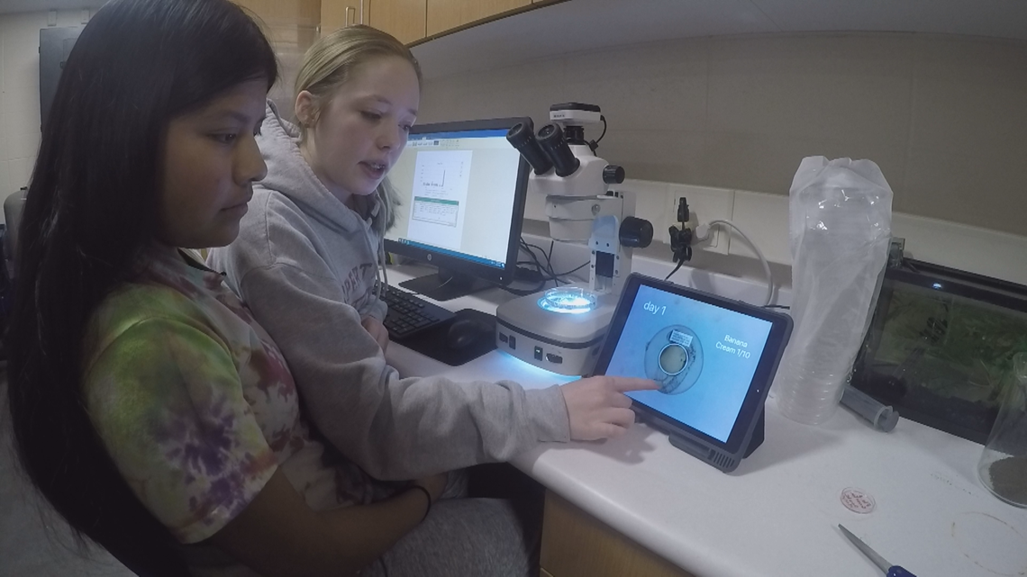 Rochester students use fish embryos to study effects of vaping | kare11.com
