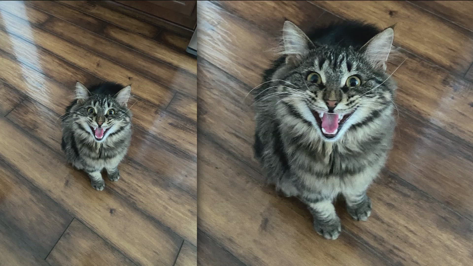 Your Good News: Vickki Turner, Tracy Cogan, Joey Nelson | kare11.com