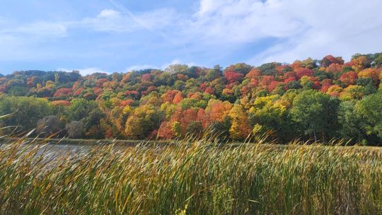 11 Minnesota apple orchards to check out this fall | kare11.com