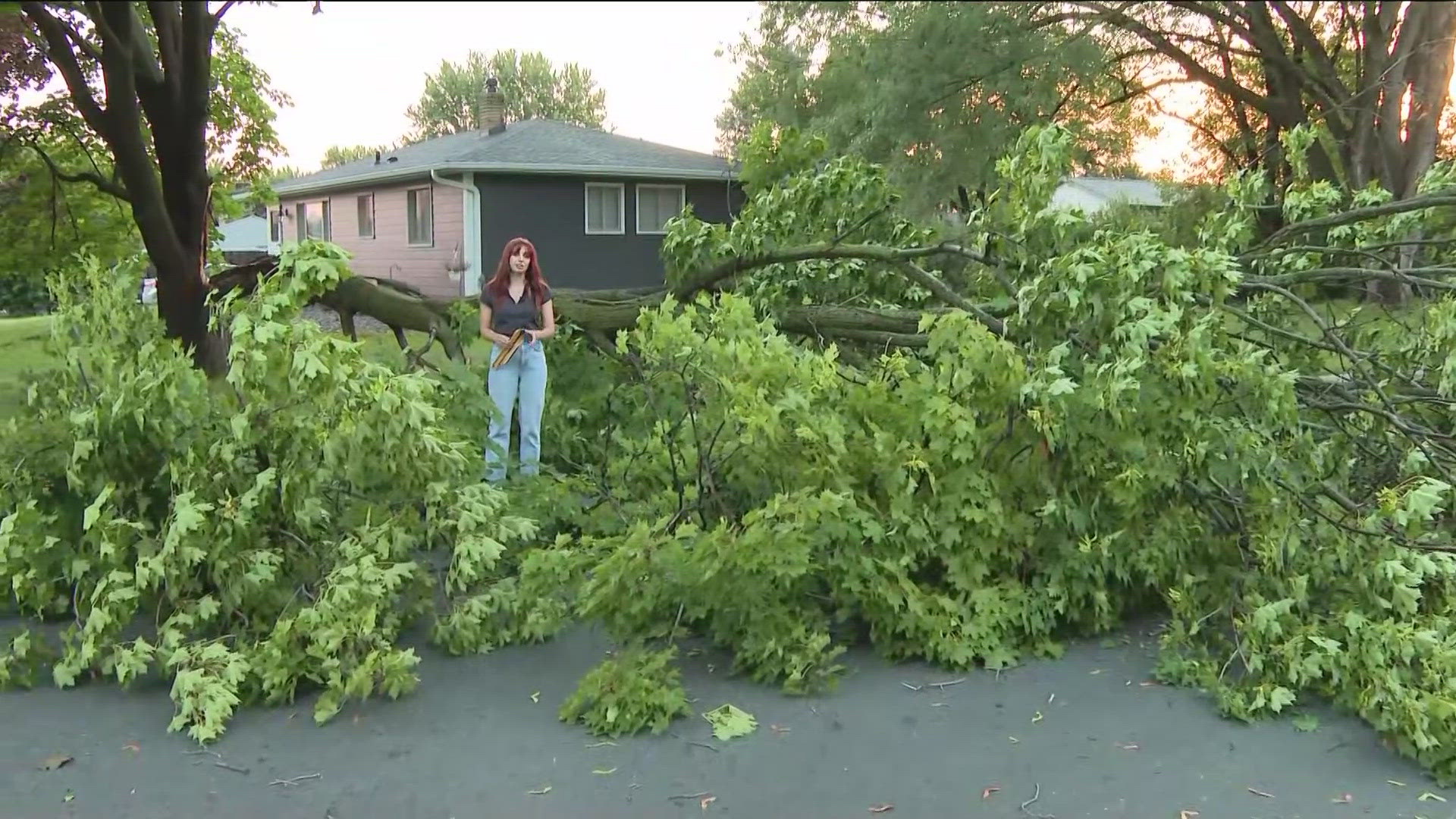 Crews clean up trees, damage after two nights of storms | kare11.com