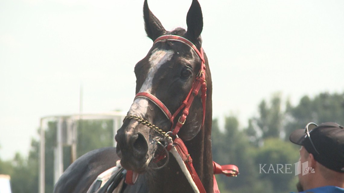 Sota King makes debut at Canterbury Park | kare11.com