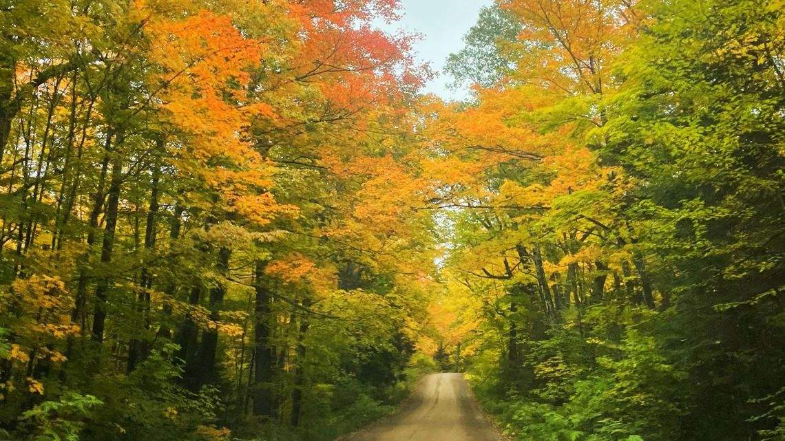 11 Minnesota apple orchards to check out this fall | kare11.com