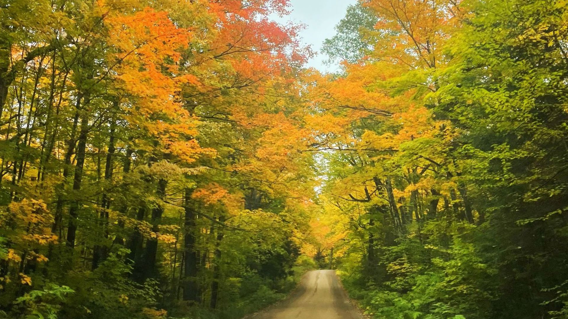 11 Minnesota apple orchards to check out this fall | kare11.com