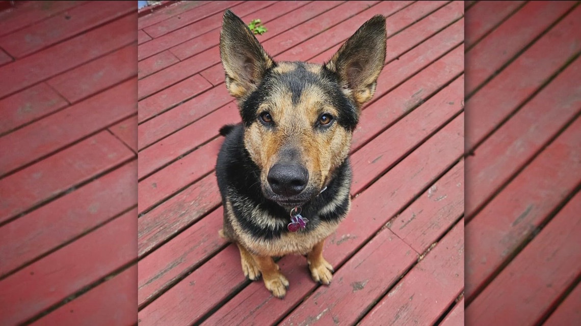 Your Good News: Suzee MacDonald, Debi Bordeau, Margaret Semrud-Clikeman ...