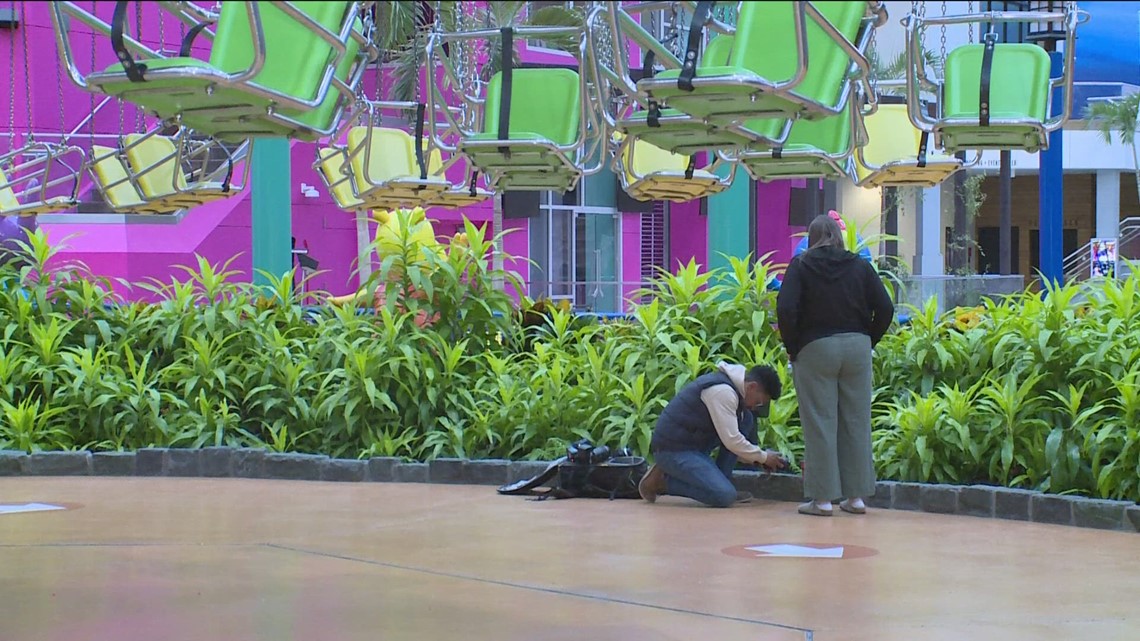 Mall of America celebrated Earth Day with biggest-ever ladybug release ...