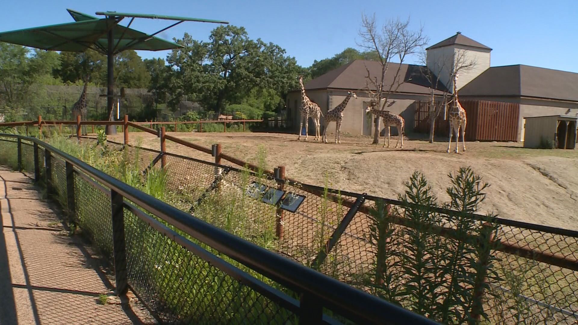 Como Zoo to open again Sunday after guests, staff evacuated over bomb ...