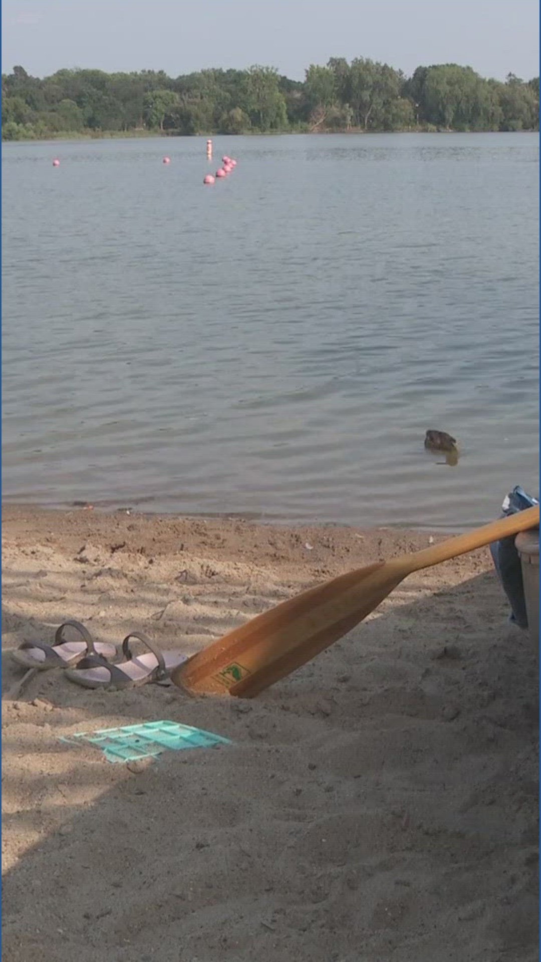 More dead fish may wash ashore at Lake Nokomis | kare11.com