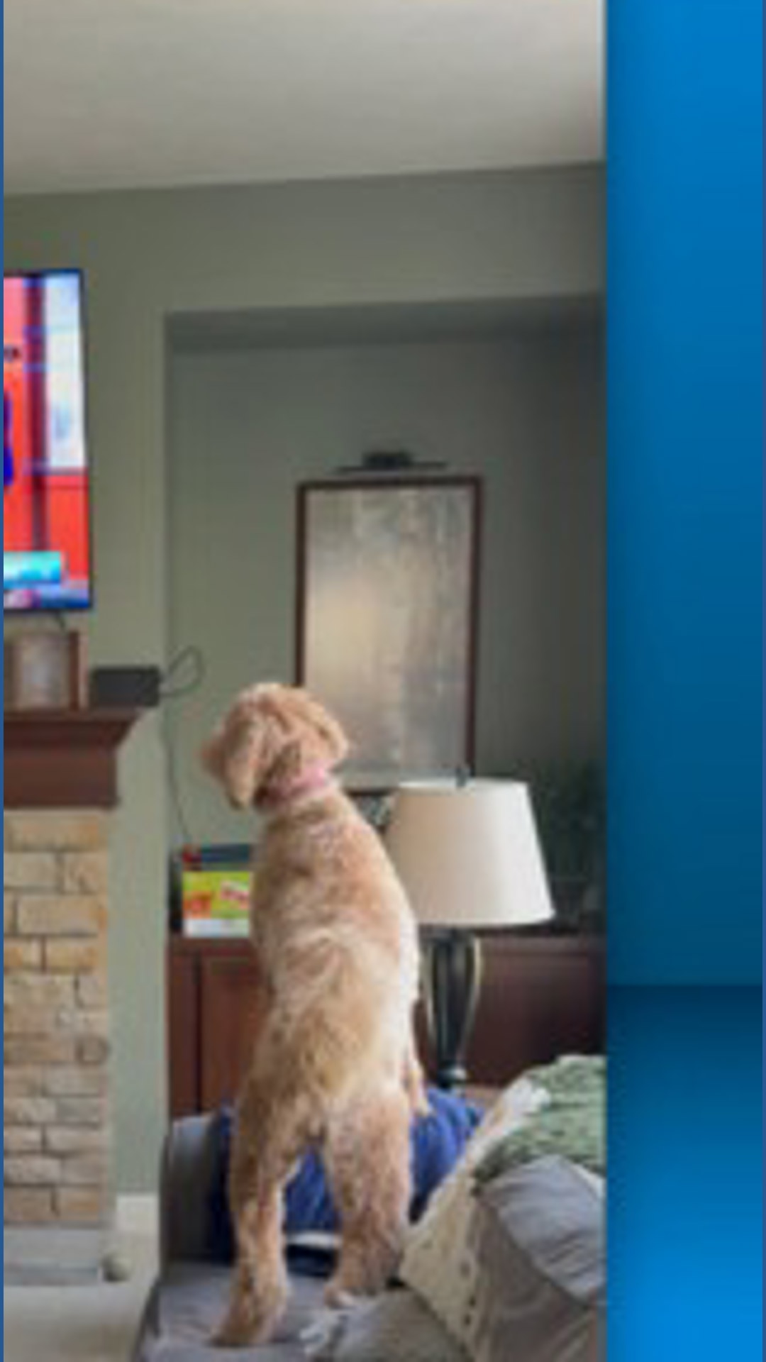 Your Good News: Debi, Mary, Caroline | kare11.com