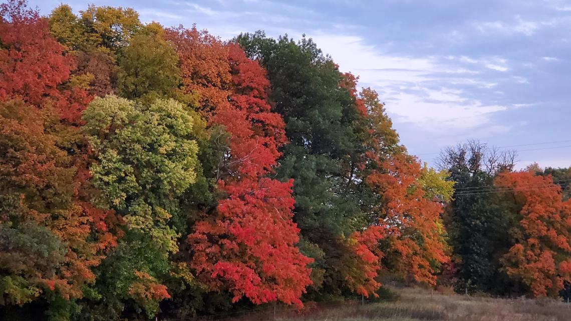 11 Minnesota apple orchards to check out this fall | kare11.com