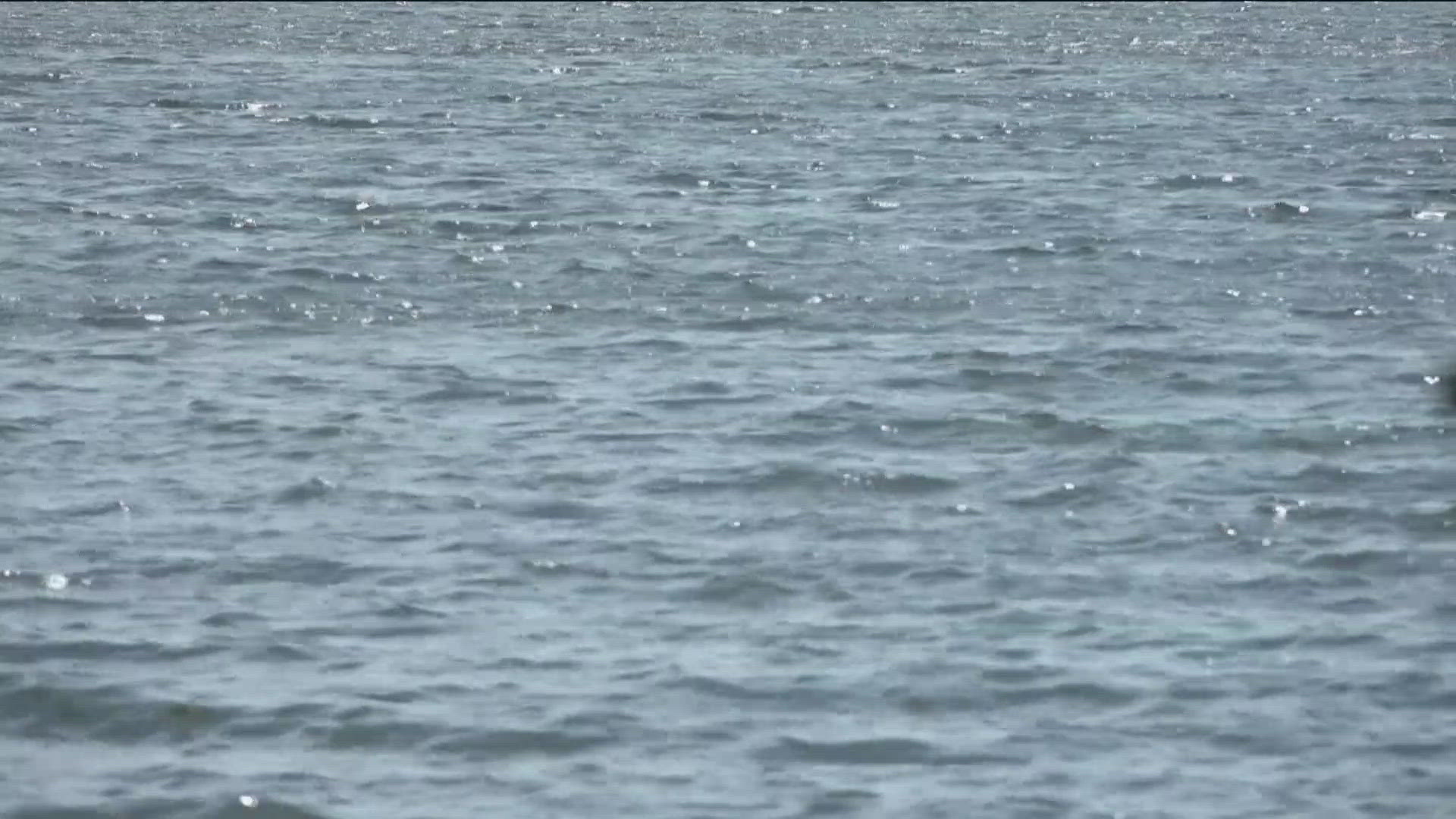 CDC drowning prevention team cuts draws concern | kare11.com