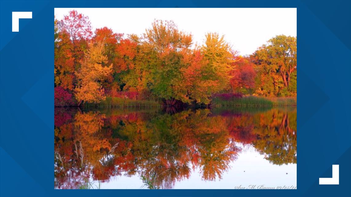 State fall color finder sites coming online Thursday | kare11.com