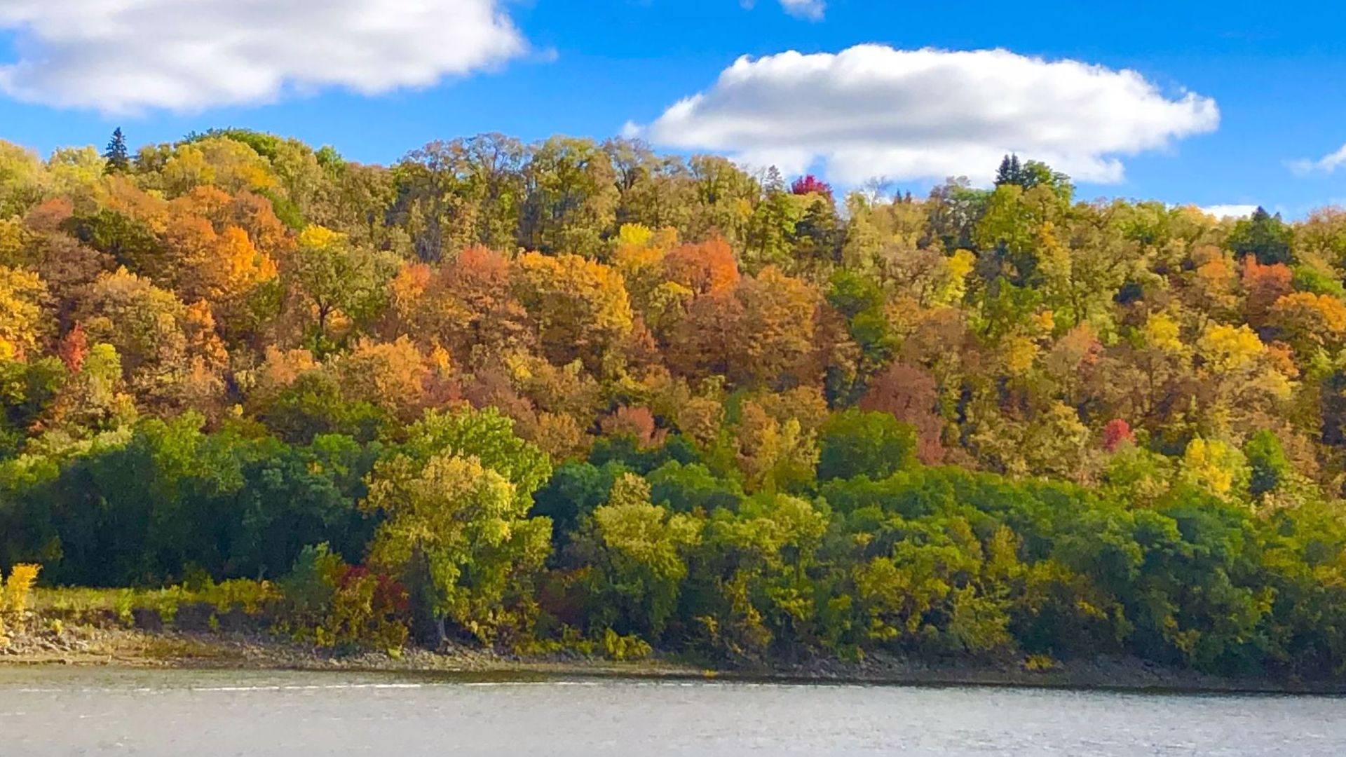 11 Minnesota apple orchards to check out this fall | kare11.com