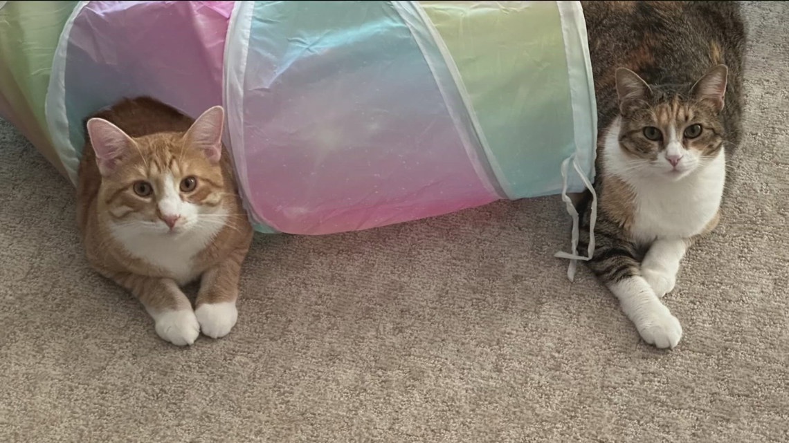 Your Good News: Cathy & Jeff Johnson, Liz & Kate Short, Don & Susan ...