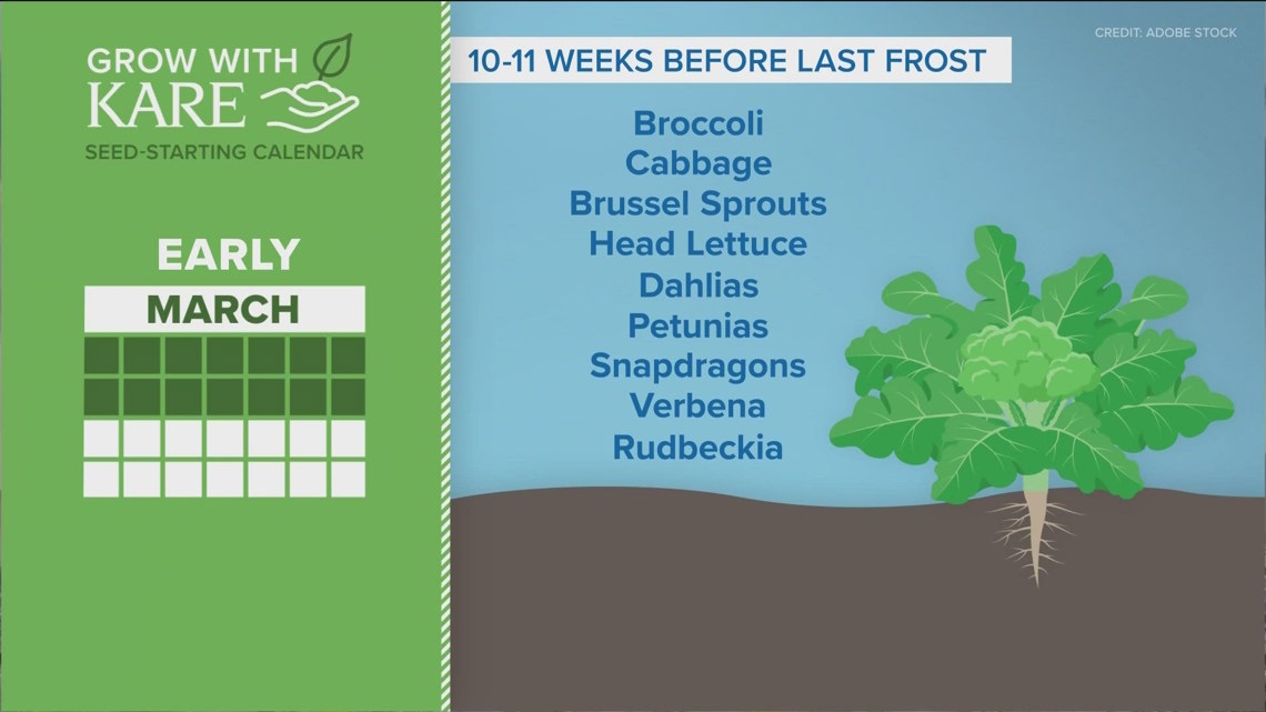 Grow with KARE: Key dates to sow indoors | kare11.com