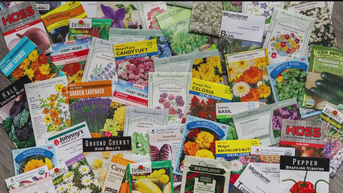 Grow with KARE: Planting old seeds | kare11.com