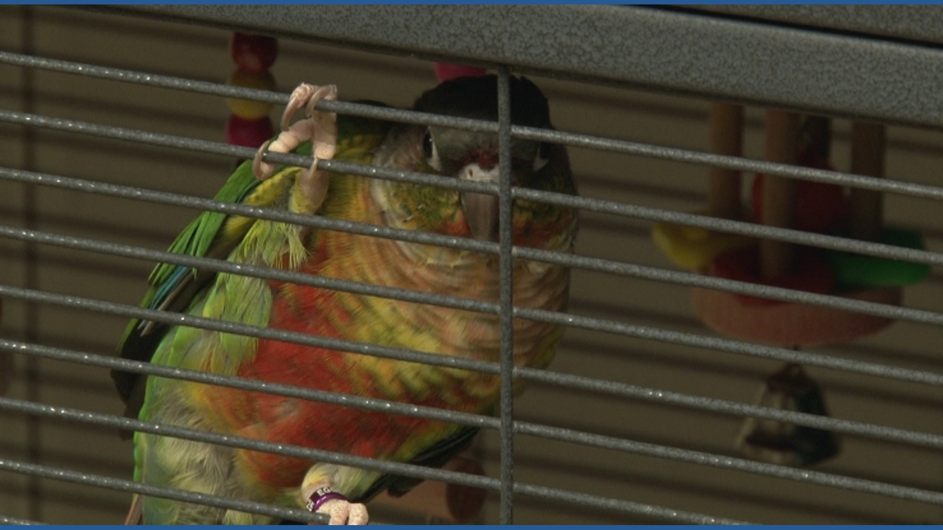 Teen arrested after allegedly shooting at Metro Transit bus, injuring 3 ...