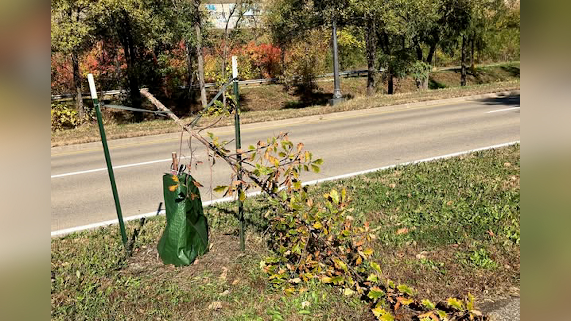 First Avenue's Conrad Sverkerson dies at 66 | kare11.com