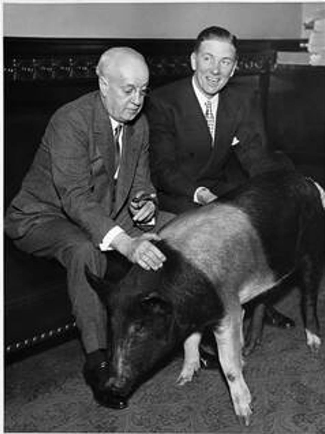 Ninety years after the creation of Floyd of Rosedale, the real story ...