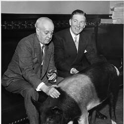Ninety years after the creation of Floyd of Rosedale, the real story ...