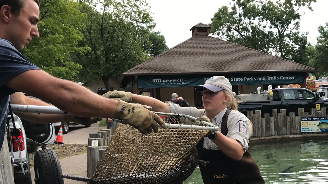 DNR Fish Pond a great getaway from State Fair chaos | kare11.com