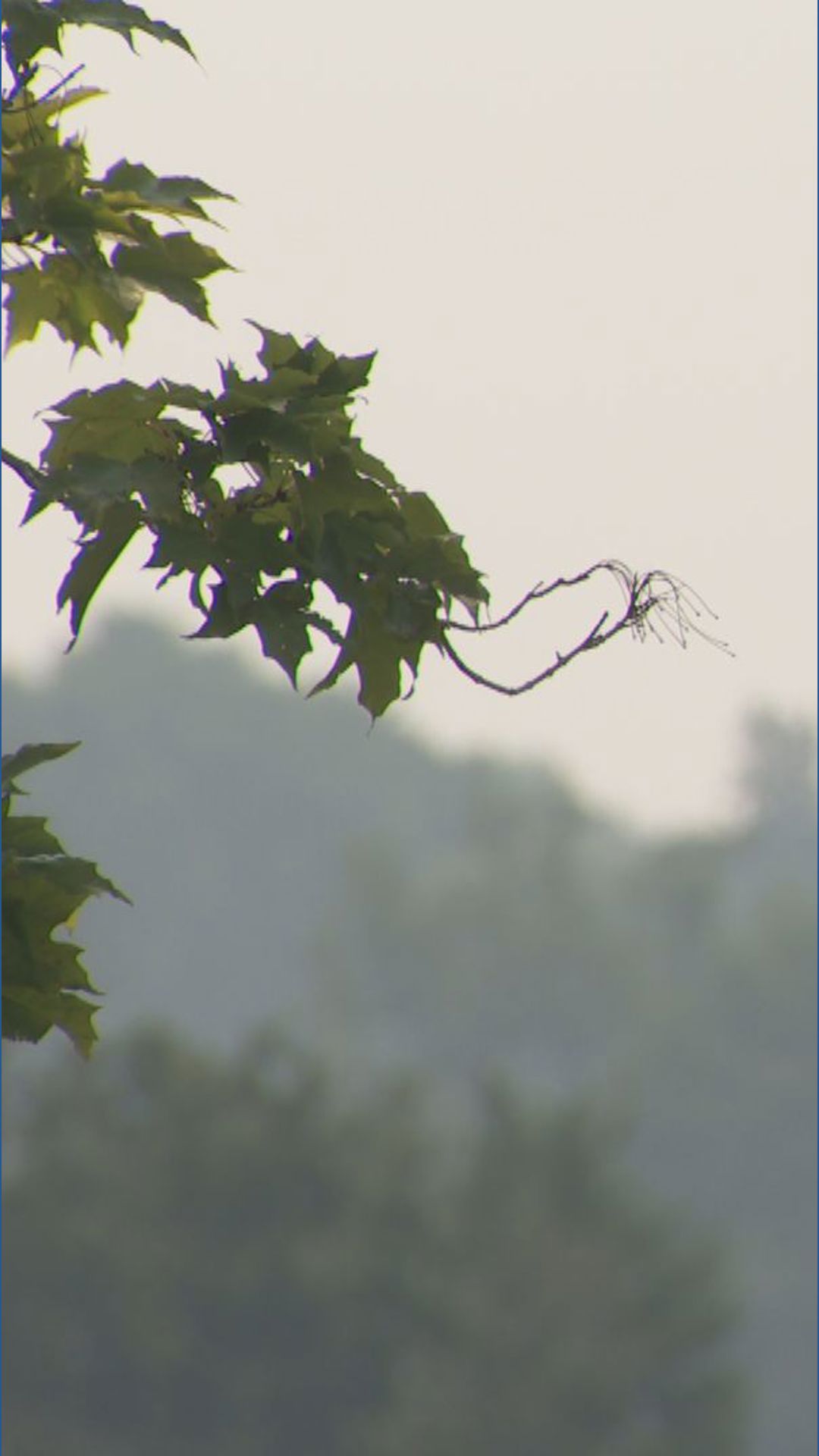 Wildfire smoke impacts respiratory health in Minnesota | kare11.com