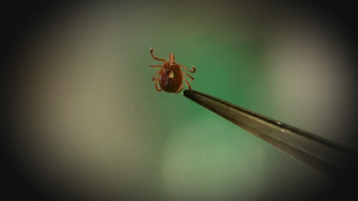 Experts say the long and snowy winter won't help us this tick season ...
