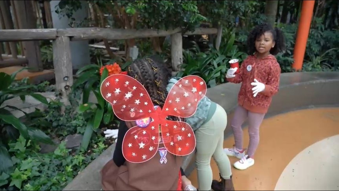 Thousands of ladybugs released at Mall of America | kare11.com