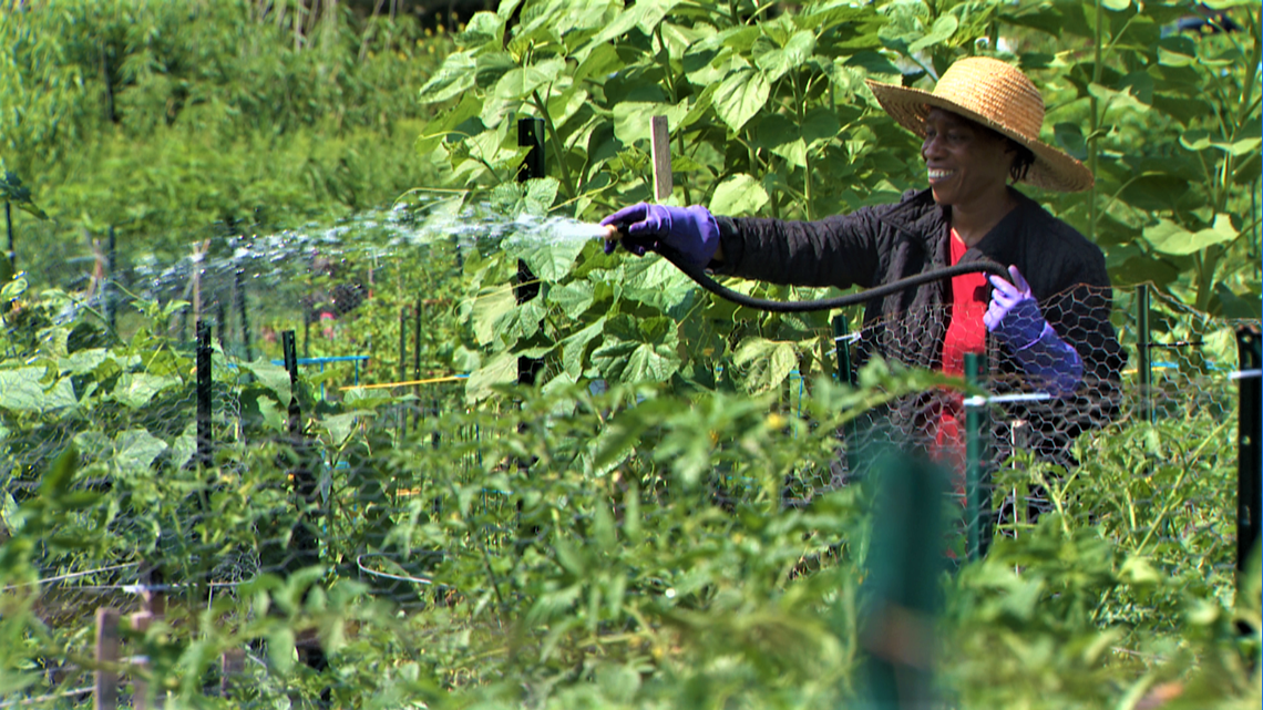 Near perfect growing weather creating 'one of the best gardening ...
