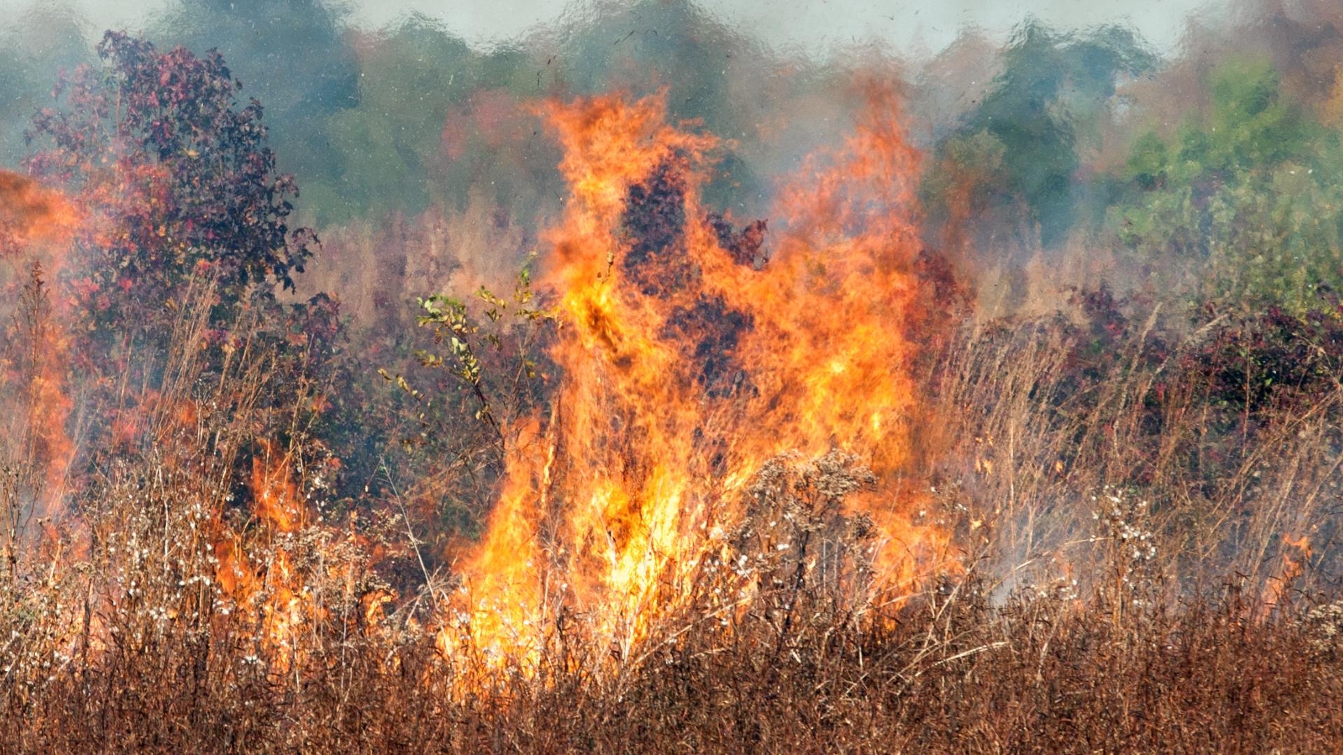 Minnesota crews battle fires amid red flag warning | kare11.com