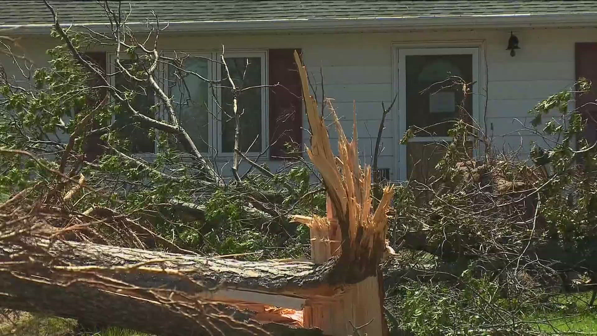 Power restoration, massive storm cleanup effort continues in Bemidji ...