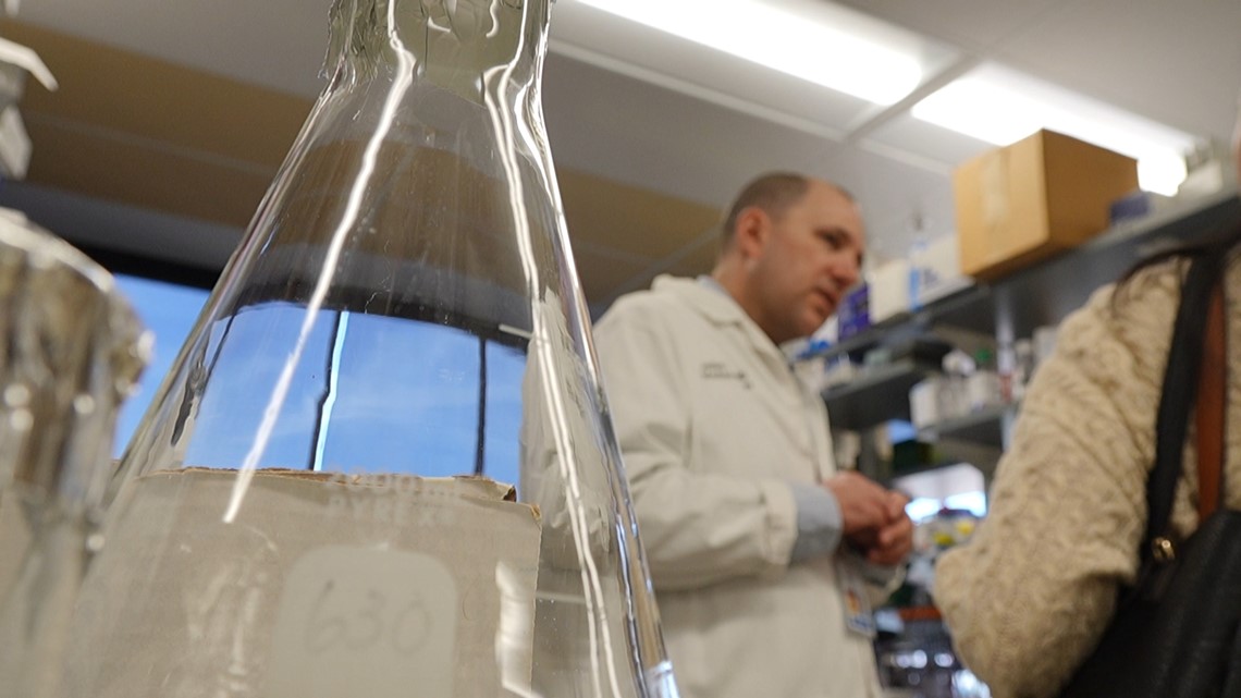 U of M researchers find first step of possible HIV cure | kare11.com