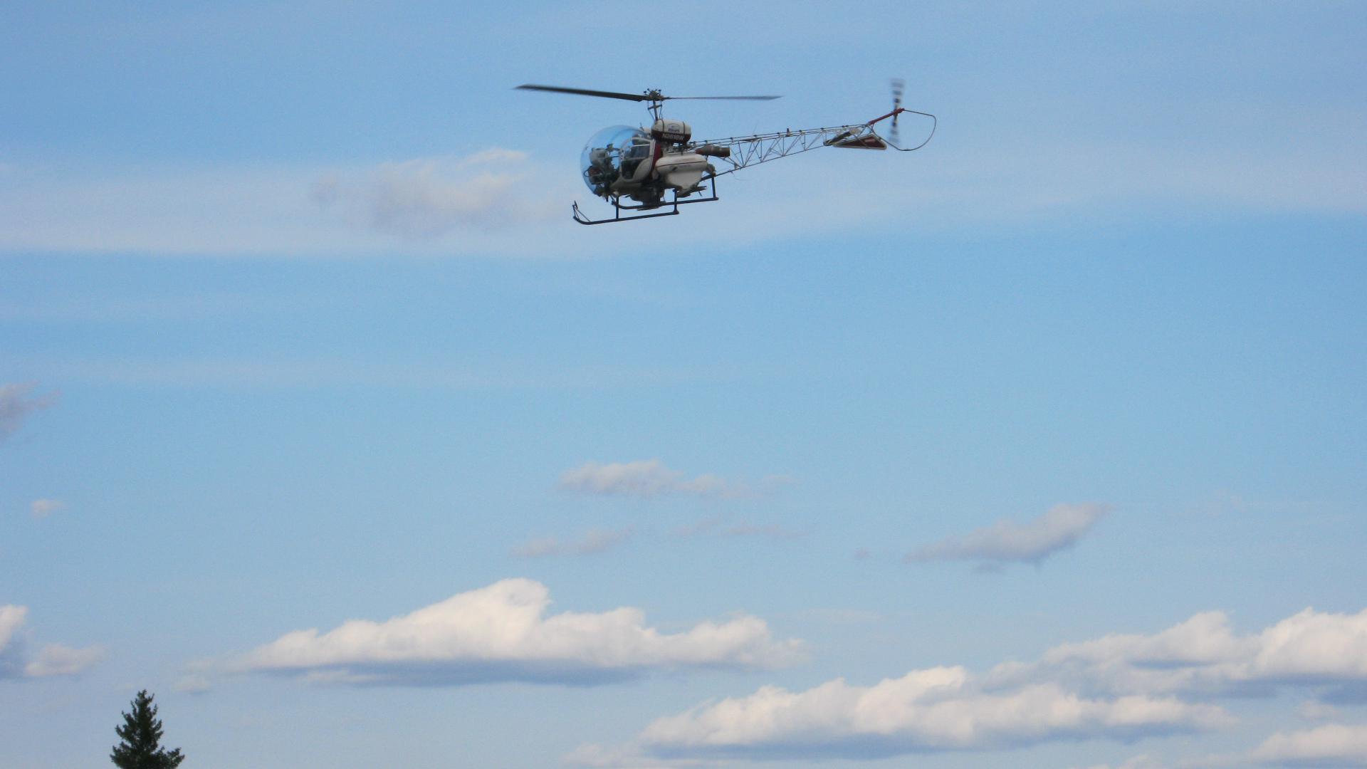 DNR taps helicopters for aerial forest replanting project | kare11.com