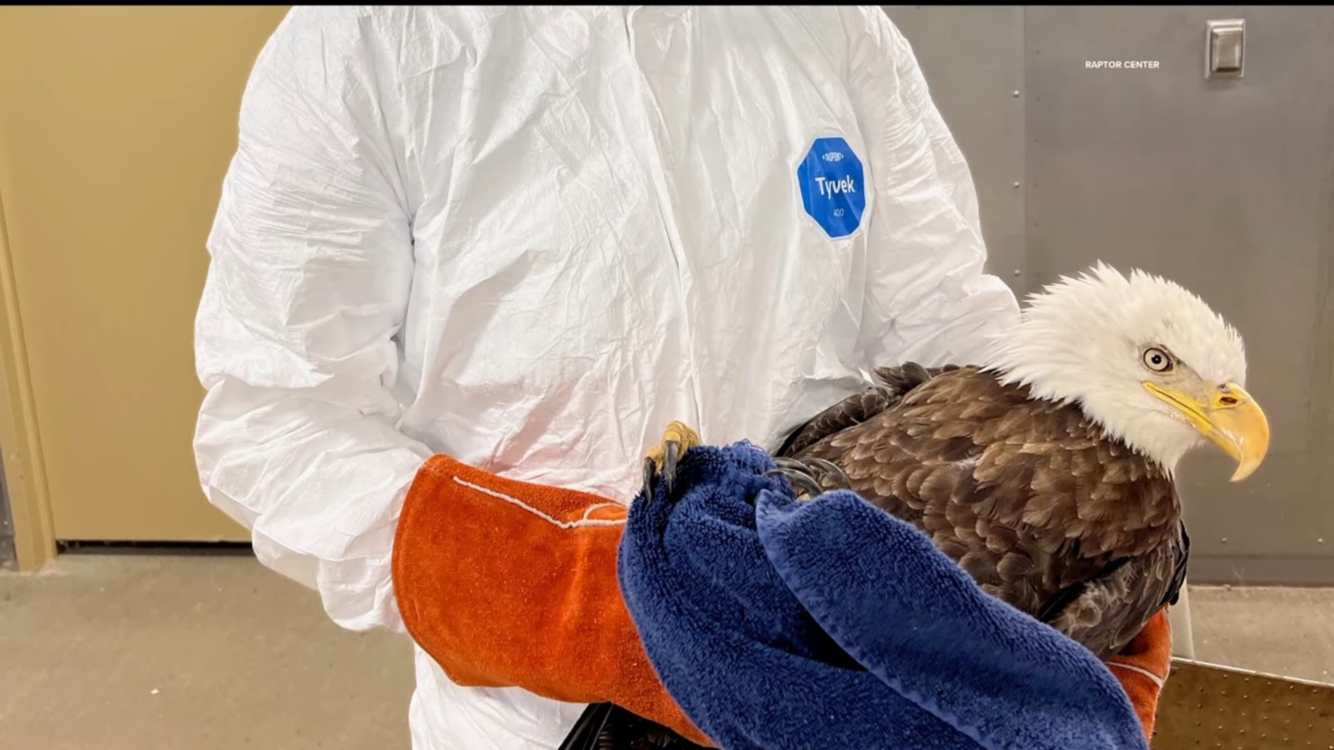 Make your own Top the Tater dips | kare11.com