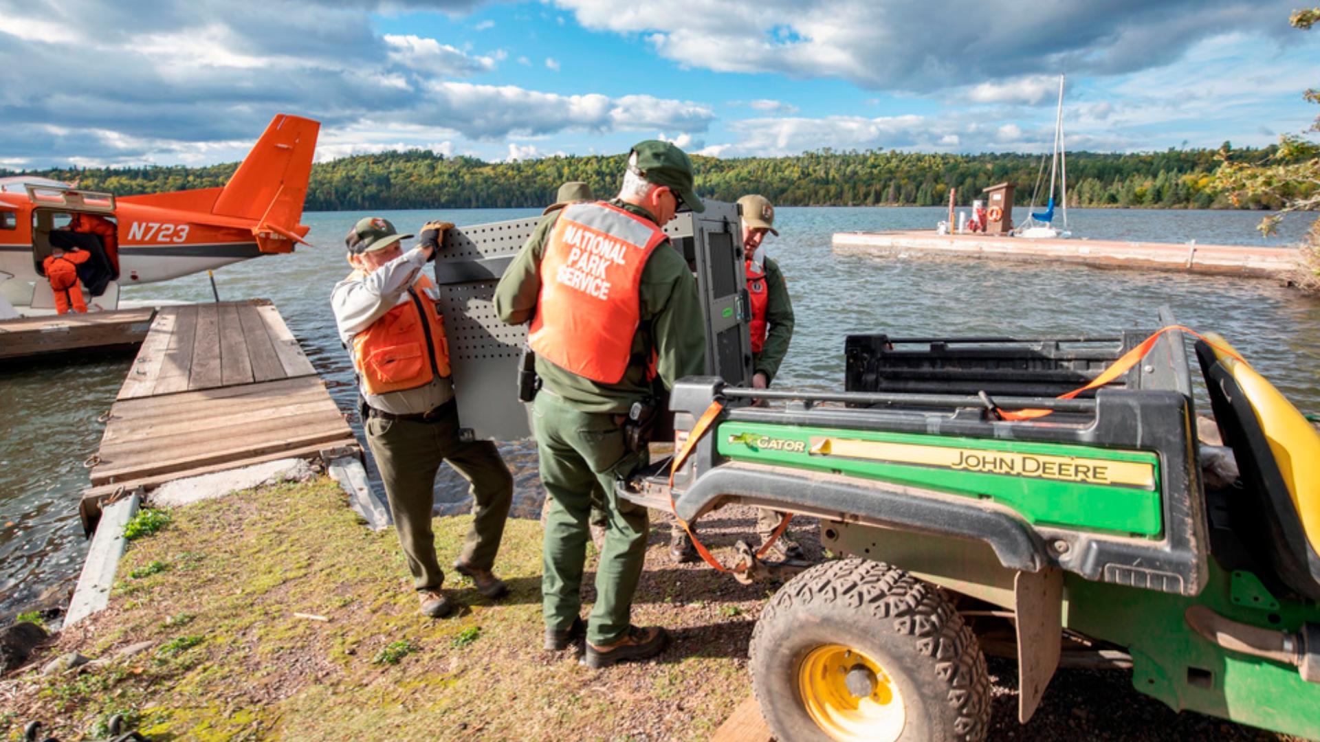 Medical issue interrupts Isle Royale wolf-moose survey | kare11.com