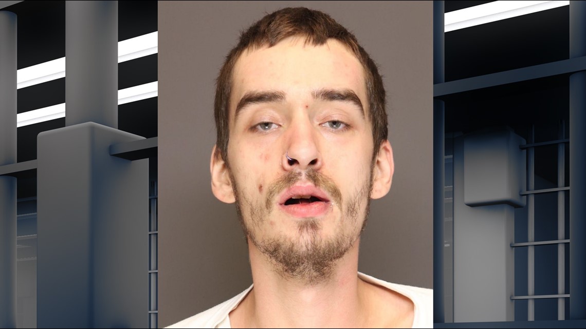 Man Pleads Guilty In Murder Of Inver Grove Heights Homeowner