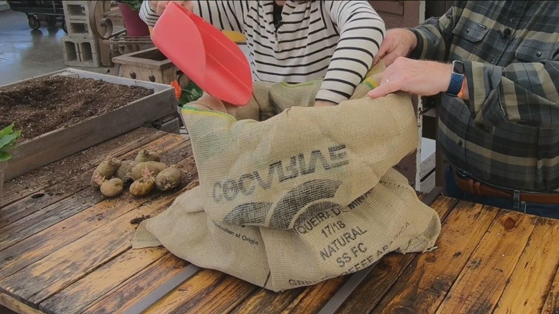Grow with KARE: How to grow potatoes in a burlap sack | kare11.com