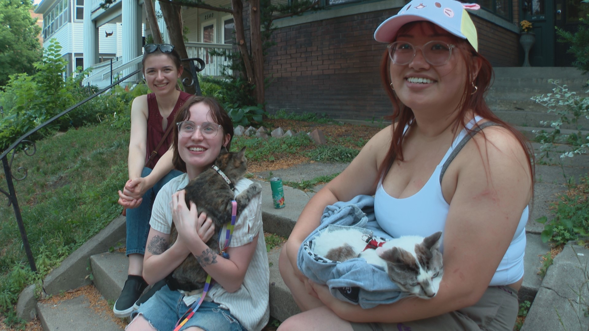 Wedge neighborhood tour in Minneapolis is the cat's meow | kare11.com