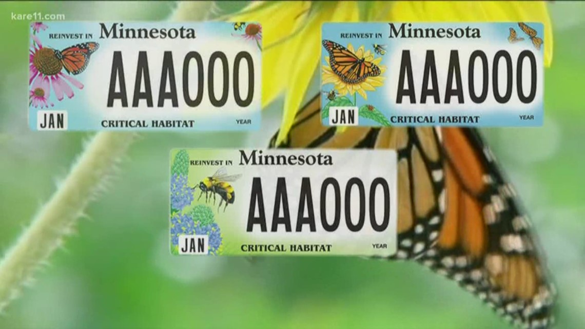 What happened to the pollinator plates? | kare11.com