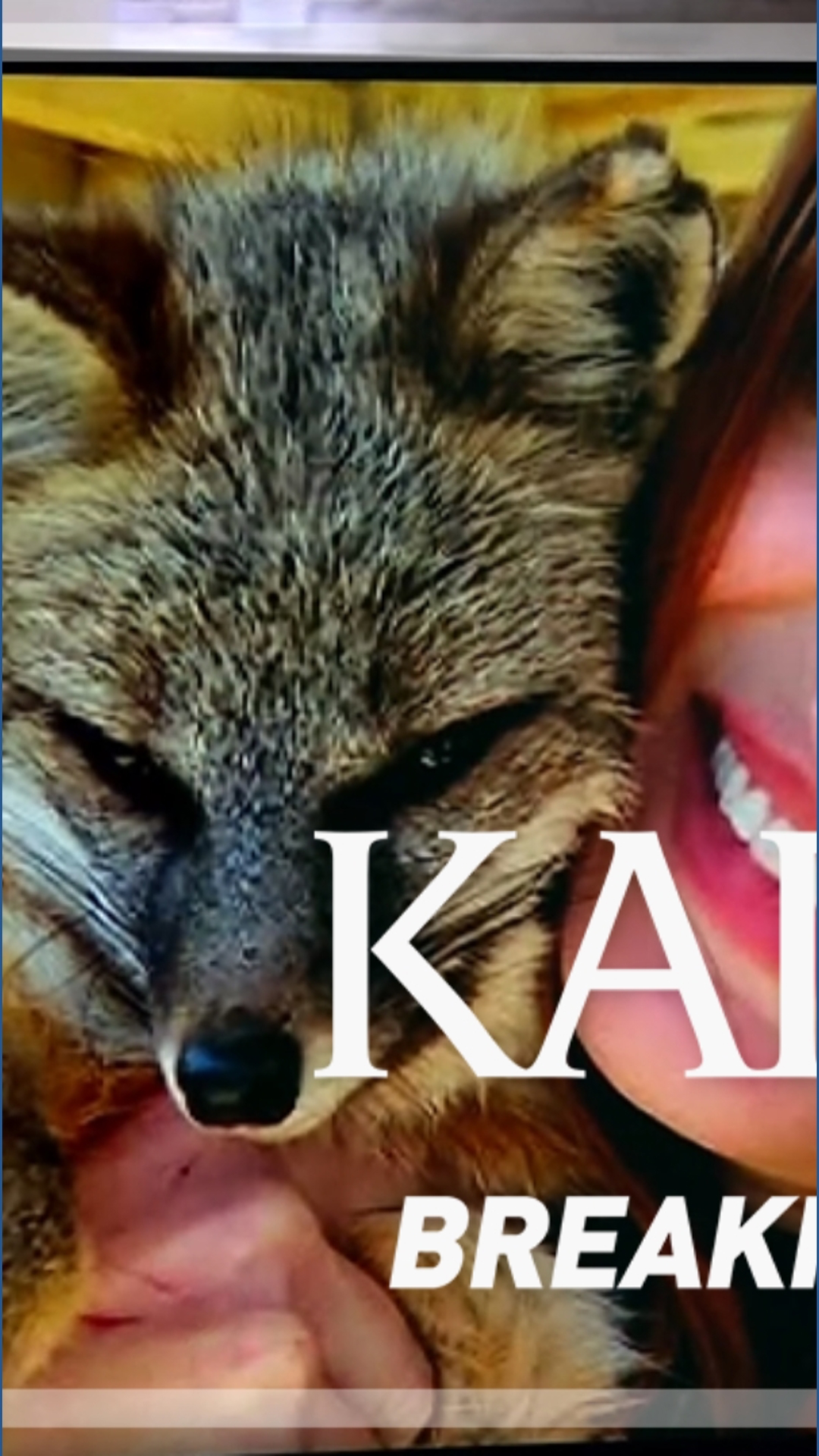 'Save a Fox Rescue' founder Mikayla Raines dies at 29 | kare11.com