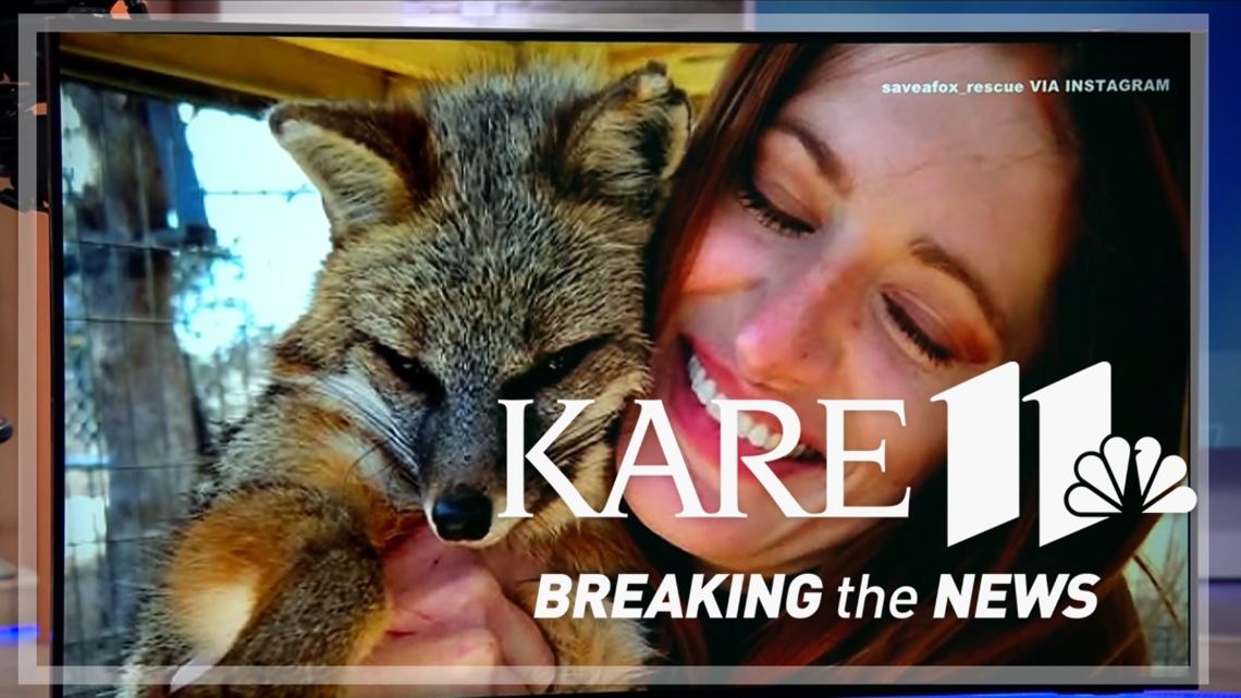 'Save a Fox Rescue' founder Mikayla Raines dies at 29 | kare11.com