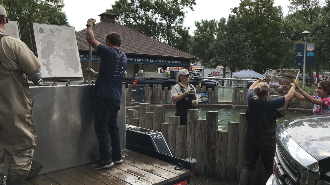 DNR Fish Pond a great getaway from State Fair chaos | kare11.com